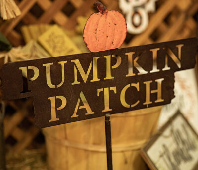 Pumpkin Season | Live Oak Canyon Pumpkin Patch & Christmas Tree Farm ...