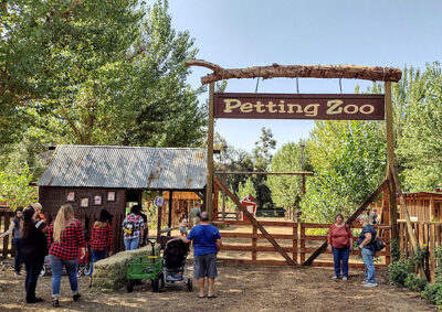 Petting Zoo | Live Oak Canyon Pumpkin Patch & Christmas Tree Farm ...